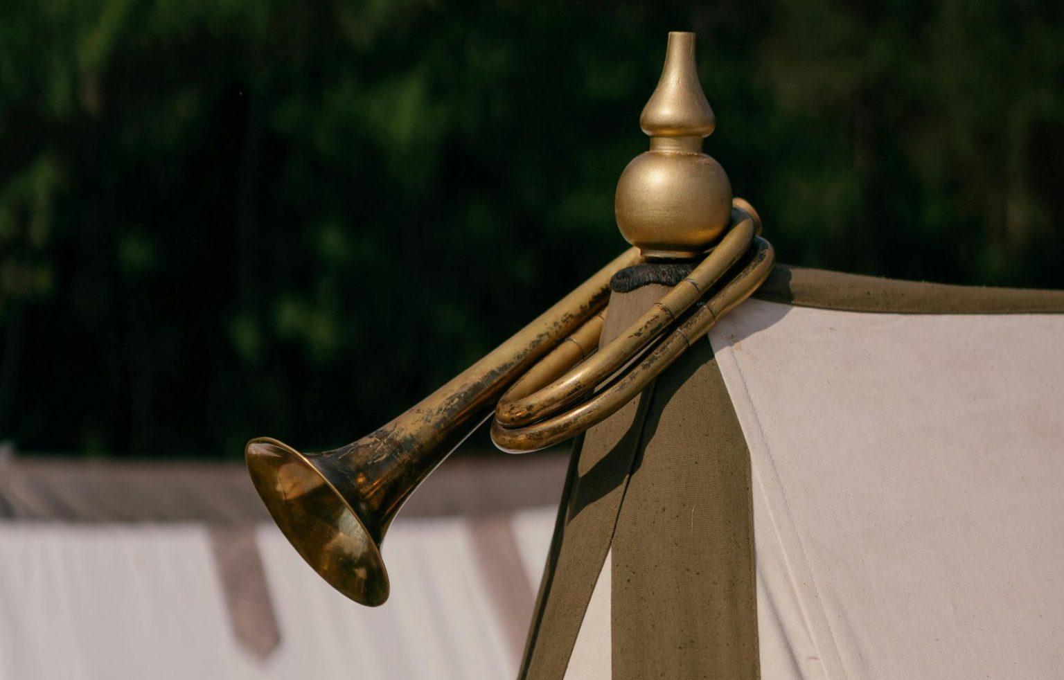 The Evolution of Brass Instrument Materials: From Serpents to Silver ...